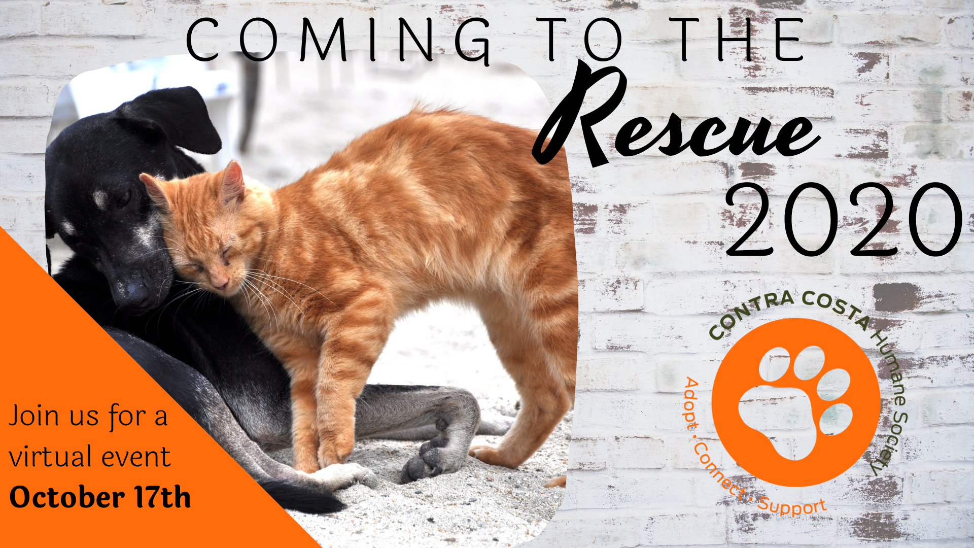 Contra Costa Humane Society – Pleasant Hill, California