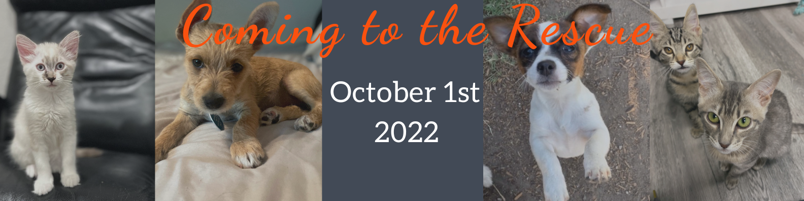 Contra Costa Humane Society – Pleasant Hill, California