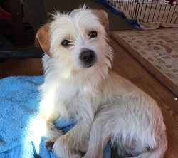 Contra Costa Humane Society Pleasant Hill, California